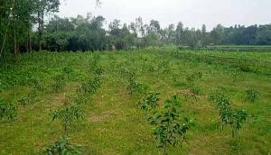 সারাদেশ | Daily Shongbad Pratidin